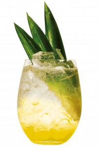 Bahama Mama » CUBA Vodka